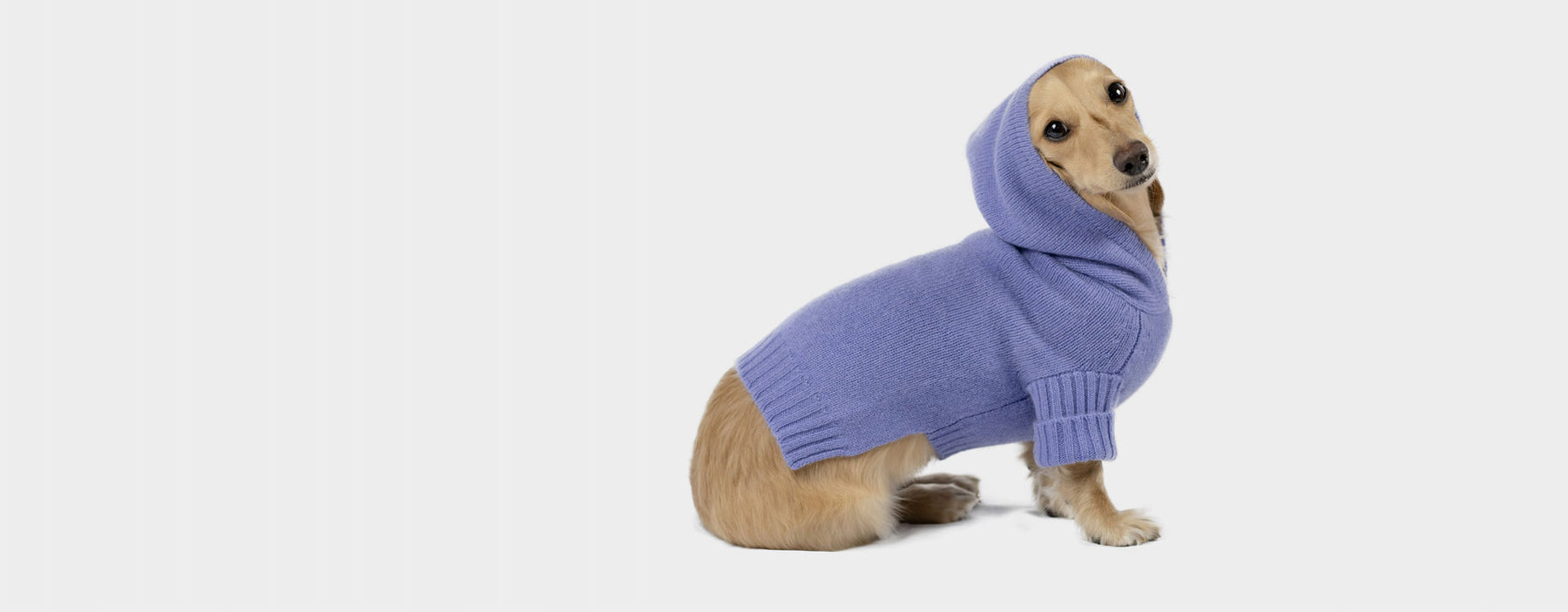 Woolwag - Cashmere Dog Sweater - Pure Cashmere Dog Hoodie